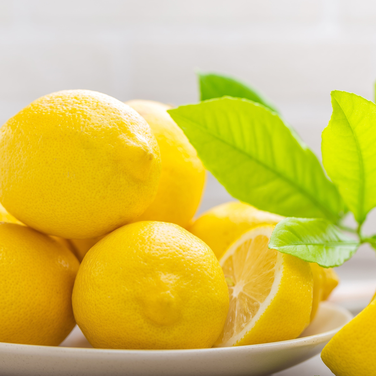 Demand Surges for Lemon CBD Oil Tincture – Smilyn Wellness